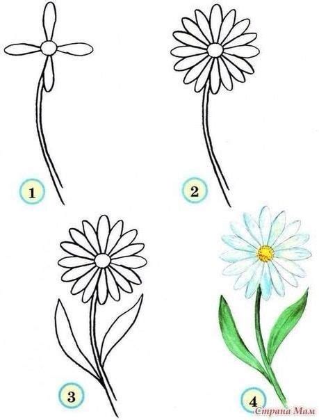 Учимся рисовать цветы Flower Drawing Tutorials Flower Drawing Drawings