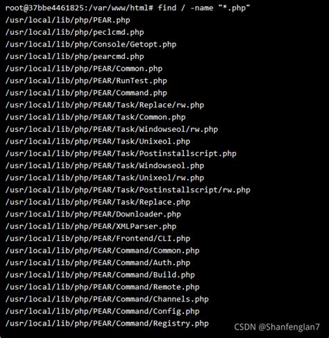 Php Fpm 基于fastcgi协议的rce漏洞复现 Cve 2019 11043php Fpm Rce Csdn博客