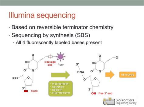 Intro To Illumina Sequencing Pptx