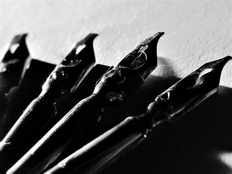 Calligraphy Pen Nibs Photo Exploration