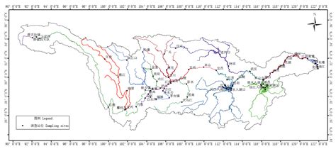 长江江豚种群数量稳中有升，中华鲟种群岌岌可危手机新浪网