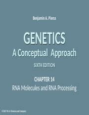 Chapter RNA Processing Th Edition Beth Snyder Pptx Benjamin A Pierce GENETICS A