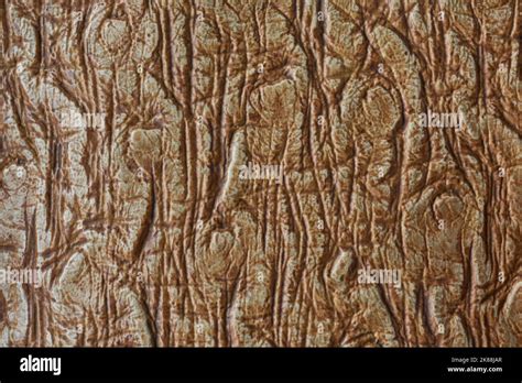 Light And Dark Brown Color Embossed Textured Abstract Bumpy Uneven