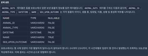 프로그래머스 sql 입양 시각 구하기 2 재귀문으로 가상테이블 만들기