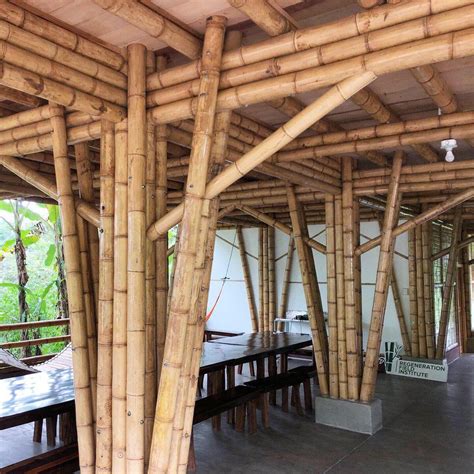 Properties Of Bamboo As A Structural Member In Construction Structville