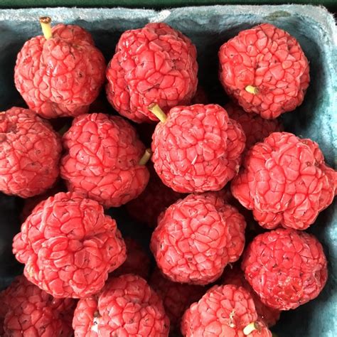 Che Fruit Information And Facts