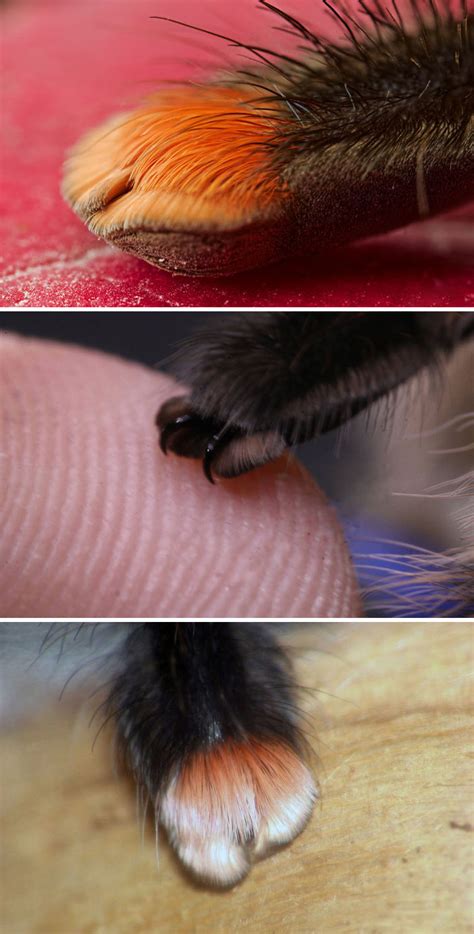 50 Rare Photos That Reveal The Unseen Side Of Things Bored Panda