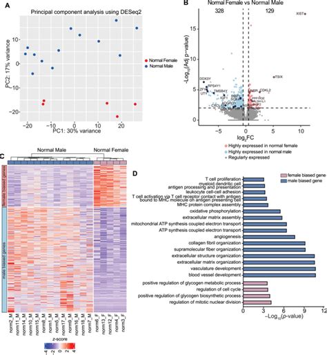 Contribution Of Sex‐biased Expressed Genes In Osteoarthritis Pmc