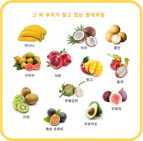 경남 창조 농업 열대과일 경남 농가 새 소득원으로 부상 네이버 블로그