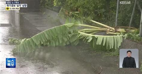 특보 오키나와 지난 태풍 한반도 향해 북상6천여 가구 정전