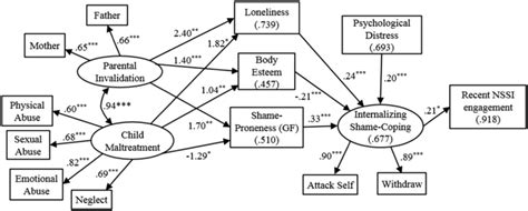 Estimated Sem With Standardized Path Coefficients And R Squared Values