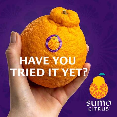 Do Sumo Citrus Mandarins Deserve The Hype