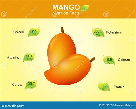 Mango Nutrition Facts Mango Fruit With Information Mango Vector Stock Vector Illustration Of