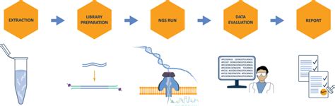 Ngs Validation And Testing For Adventitious Agent Detection Virusure