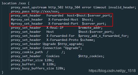 Nginx代理swagger页面丢失端口问题swagger 端口丢失 Csdn博客 Nginx代理swagger页面丢失端口问题swagger 端口丢失 Csdn博客