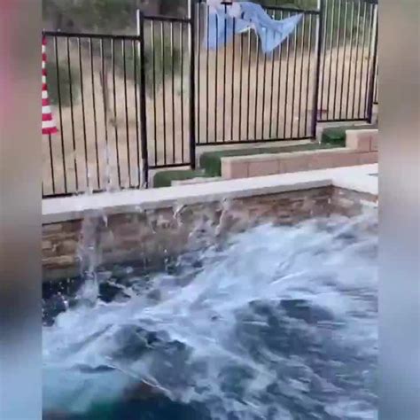 Id Or Name If This Bodybuilder Himbo Lpsg