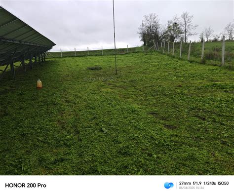 Рязане на дърва Селскостопански Градински Раднево Рязане на дърва