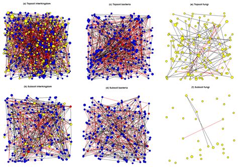 Soil Soil Depth As A Driver Of Microbial And Carbon Dynamics In A
