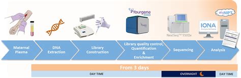 Yourgene Nipt Workflow Sdt Molecular