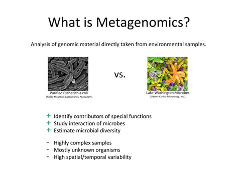 Ppt Gasic Metagenomic Abundance Estimation And Diagnostic Testing On Species Level Powerpoint