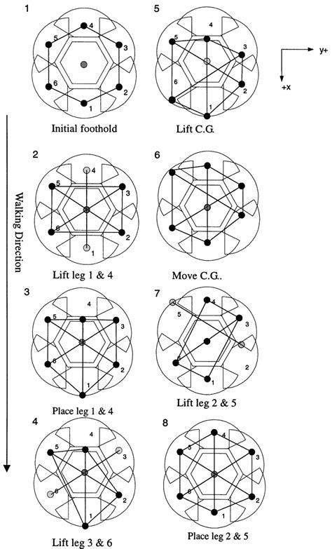 Fault Tolerant Gait Sequence Of Hexagonal Model Download Scientific Diagram