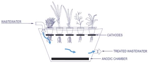 Representation Of The Floating Treatment Wetland Mfc Ftw Mfc Adapted Download Scientific