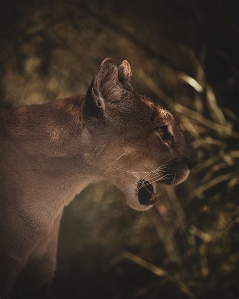 Christopher Esqueda Fotografia