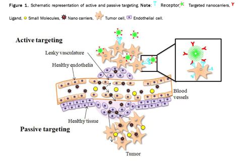 Advances In Novel Drug Delivery Strategies For Targeting Brain Tumors An Insight Open Access