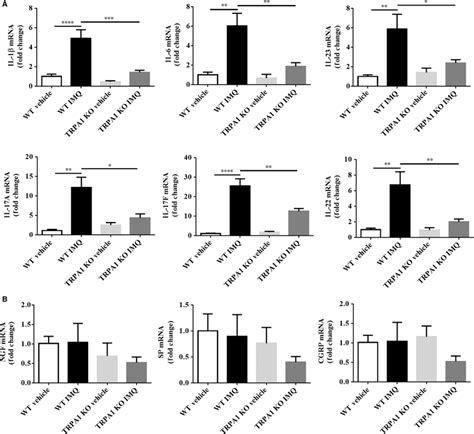 Trpa1 Ko Mice Show Reduced Mrna Expression Of Th17‐related Genes In