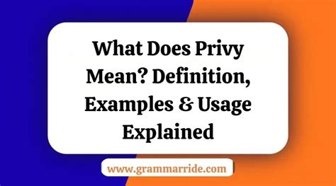 What Does Privy Mean Definition Examples And Usage Explained