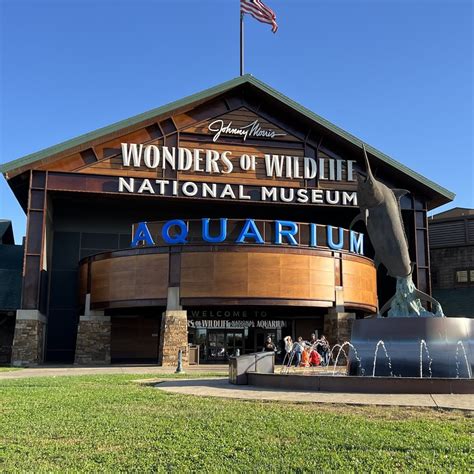Penguins Rule At Wonders Of Wildlife In Springfield Missouri