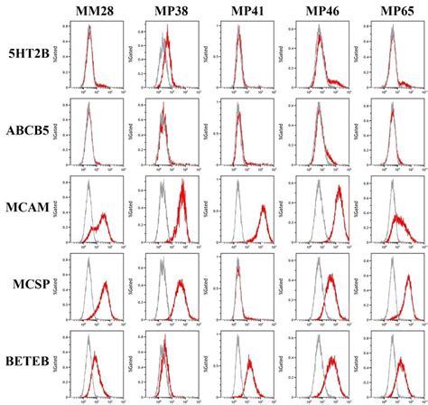 Expression Of Markers In Cell Lines By Flow Cytometry Flow Cytometric