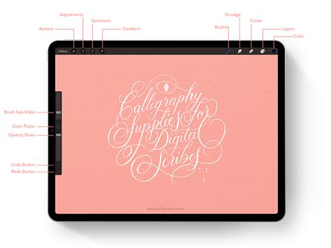 Procreate App Hack Bandberlinda