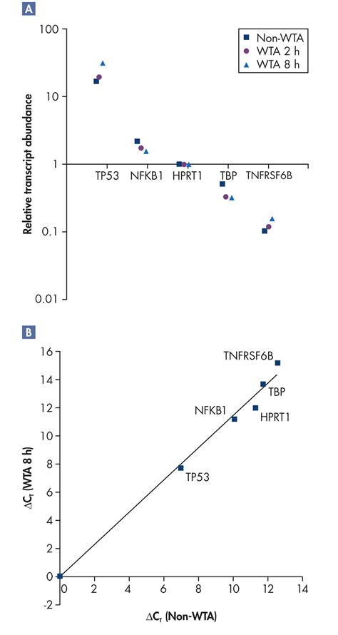 Quantitect Whole Transcriptome Kit