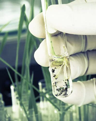 Prima Agro Tech Prima Agro Tech