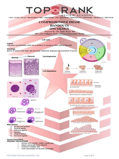Handouts Oncology Pdf Ovarian Cancer Cancer