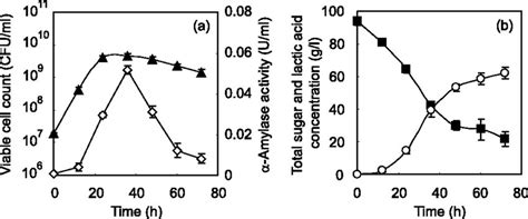 Lactic Acid Fermentation From Raw Corn Starch By L Plantarum Ncimb