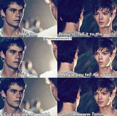 Newtmas In 2024 Maze Runner Funny Maze Runner Movie Newt Maze Runner