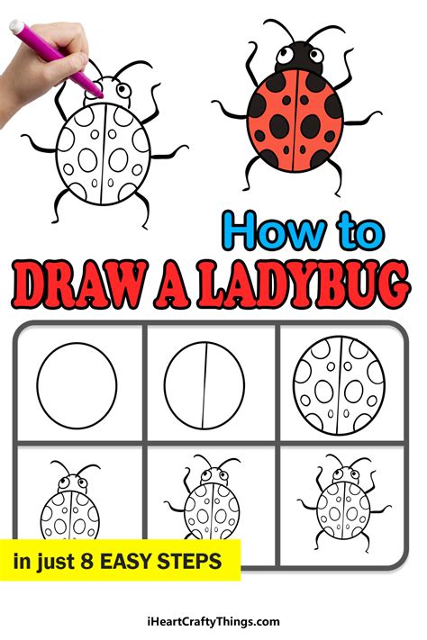 How To Draw A Ladybug Step By Step