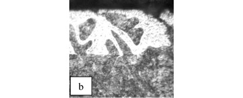 Microstructure Of Boride Layer Fe 2 B A Feb B On The Surface Of Download Scientific