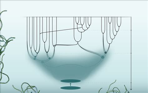Three Domains Of The Genetic Tree Of Life Museum Of Natural History Science