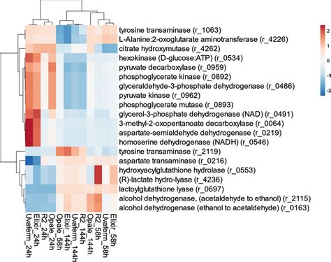 Hierarchical Clustergram Depicting From The Flux Sampling Analysis How Download Scientific