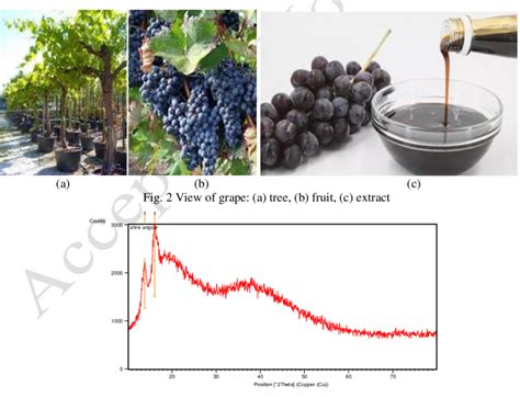 Sieve Analysis Aggregates Graph Course And Fine Download Scientific Diagram