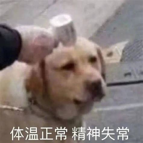 表情包 你对得起我吗你 拿图点赞、吱声
