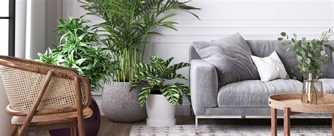 Möbel 24 Das Original 35 Millionen Möbel Vergleichen Bis 78