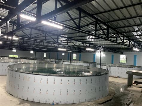 Recirculating Aquaculture System At Best Price In Kurukshetra By Global Aquaculture Solution