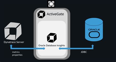 Oracle Database Insights Dynatrace Docs