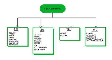Caratteristiche E Differenze Tra Ddl Dml E Dcl In Sql Informatica E