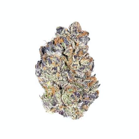 Daniel Larusso 마리화나 균주 유럽의 대마초 상점 Weed Buzz Eu