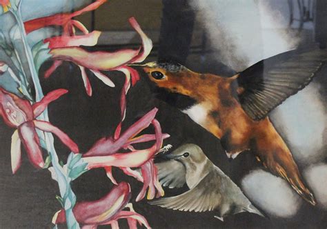 Beauty In Nature The Papa Gallery